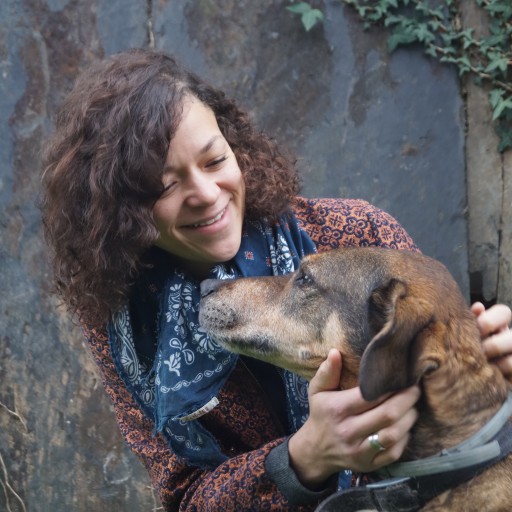 Clinique Vétérinaire du Brivet